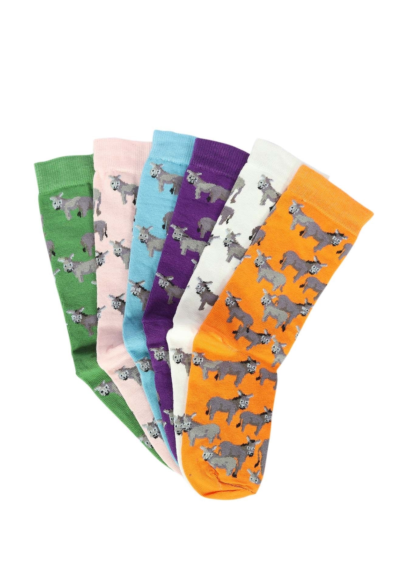 AWST Int'l Donkey Love Socks– StateLineTack