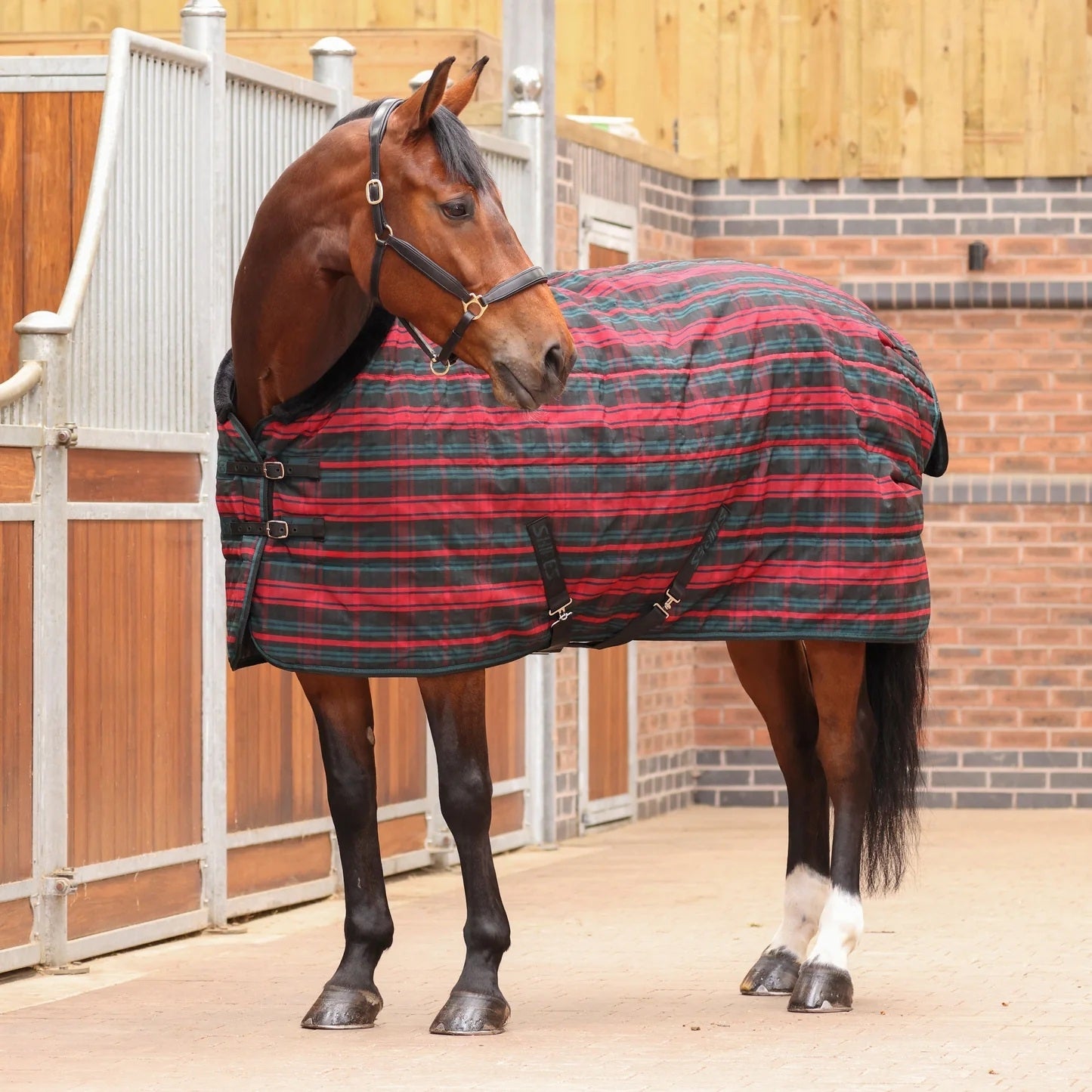 Shires Tempest Plus 200 Stable Blanket– StateLineTack