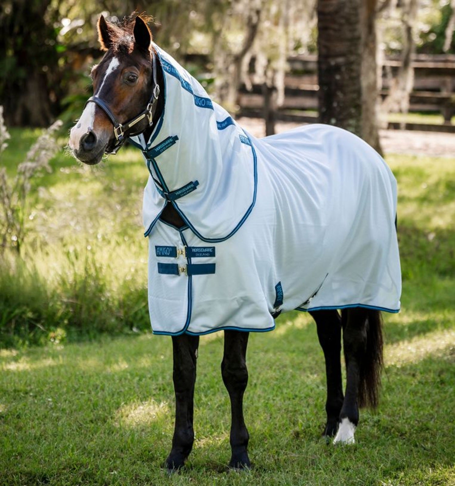 Amigo Bug Rug XL Plus Fly Sheet– StateLineTack