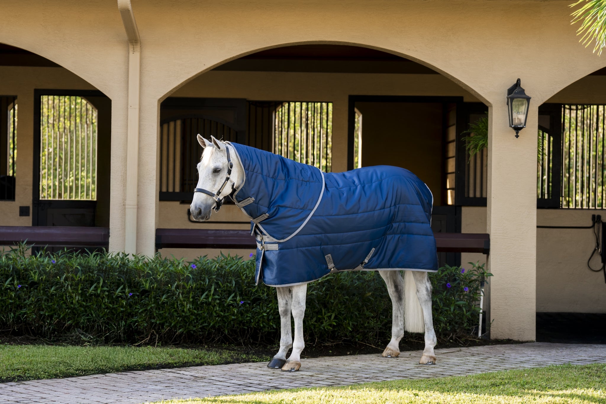 Amigo RS Insulator Plus Pony 200g– StateLineTack