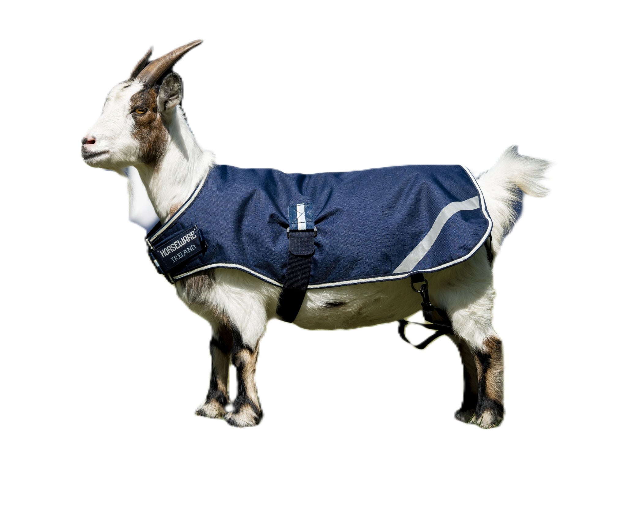 Horseware Goat Coat 100g– StateLineTack