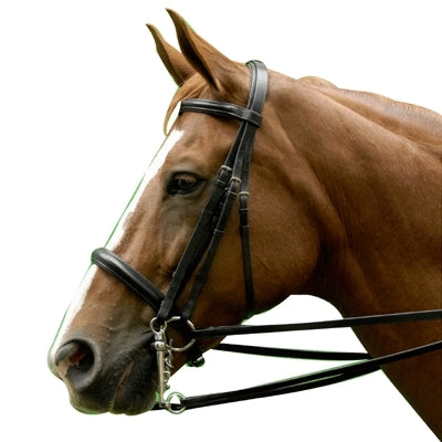 Exselle Elite Double Bridle– StateLineTack