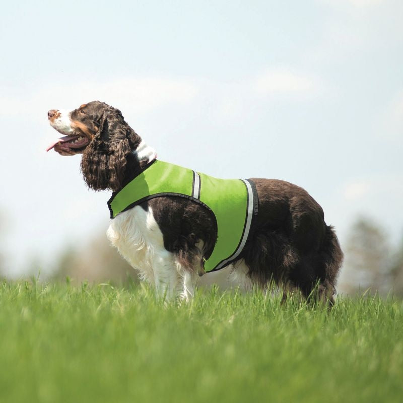 Jacks Black Steel Training Bit 5" Black– StateLineTack