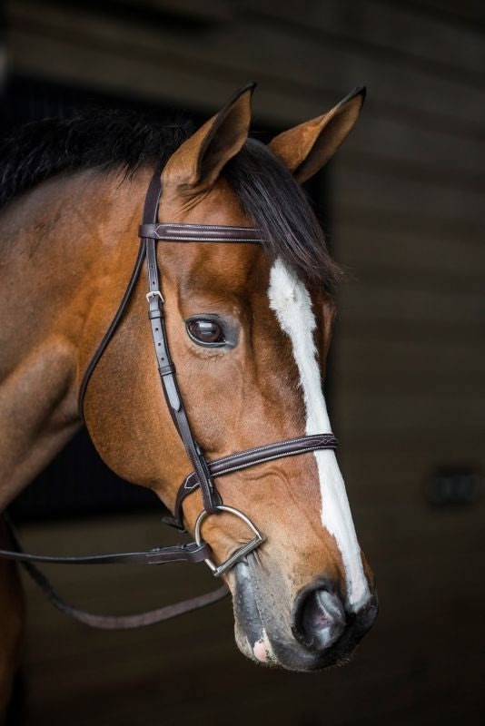 English Headstalls & Bridles for Sale | Dressage, Show, & More ...