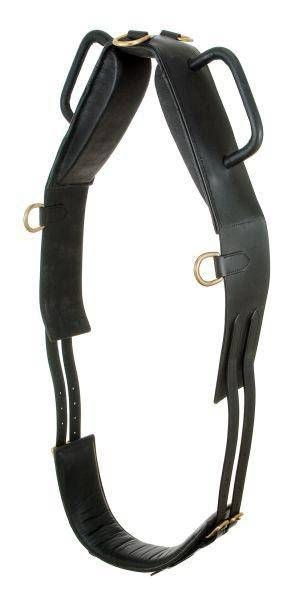 Horse Lunging | Lunging Equipment– StateLineTack