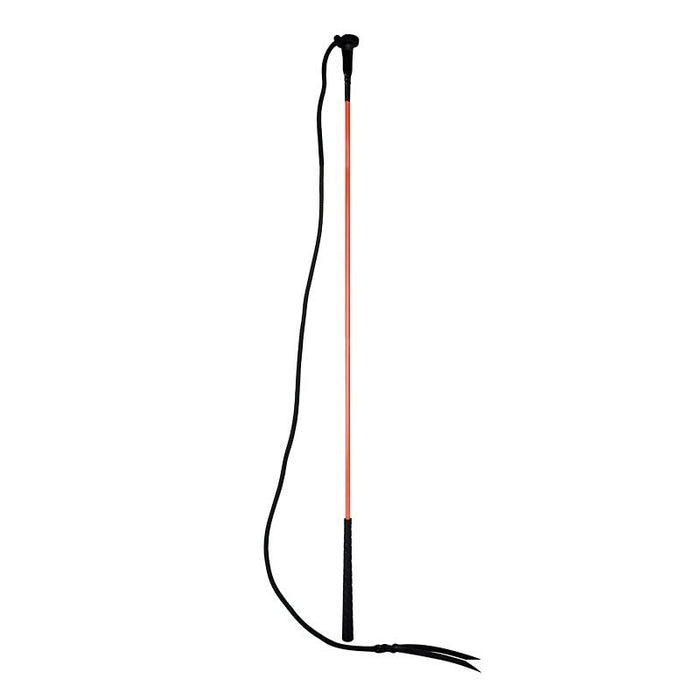 Horse Lunging | Lunging Equipment– StateLineTack