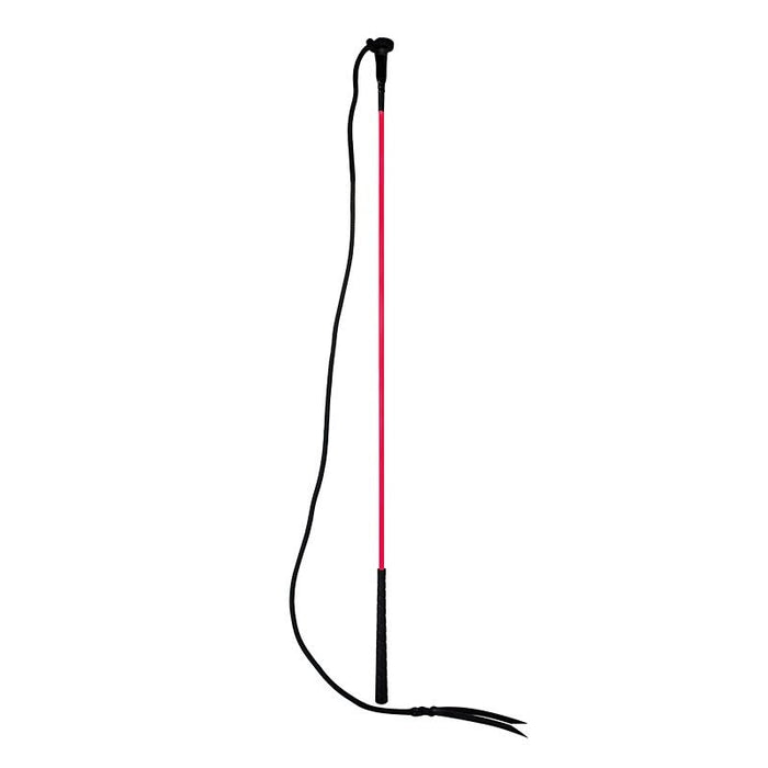 Horse Lunging | Lunging Equipment– StateLineTack