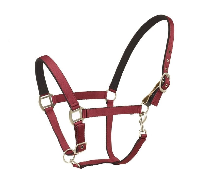Centaur Solid Cushion Padded Breakaway Halter– StateLineTack