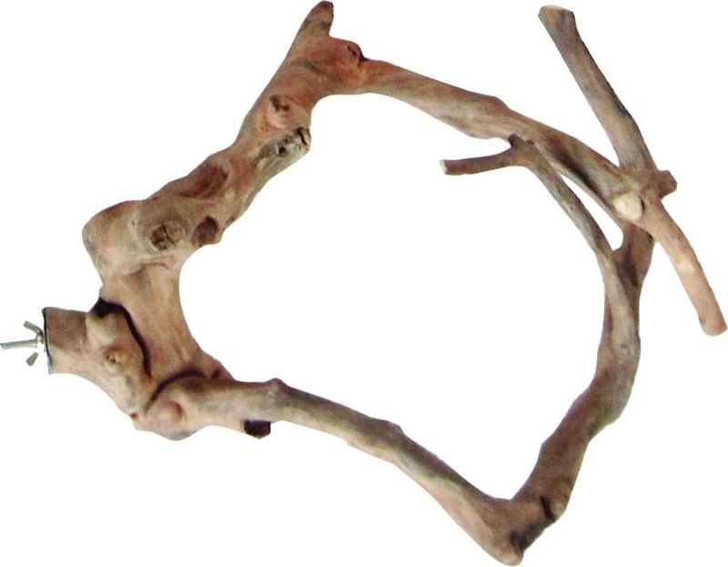 Java Wood Natural Multi Branch Bird Perch– StateLineTack