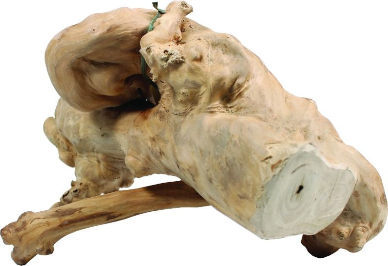 Java Wood Reptile Branch Small Natural– StateLineTack