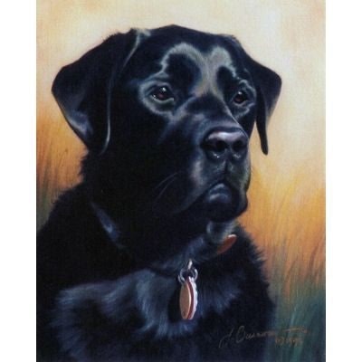 Stalwart Fellow Labrador Retriever 6 Pack– StateLineTack