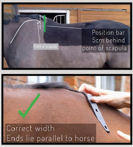 How to Measure English Saddles– StateLineTack